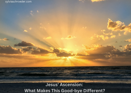 Jesus’ Ascension: What Makes This Good-bye Different? - When the House ...