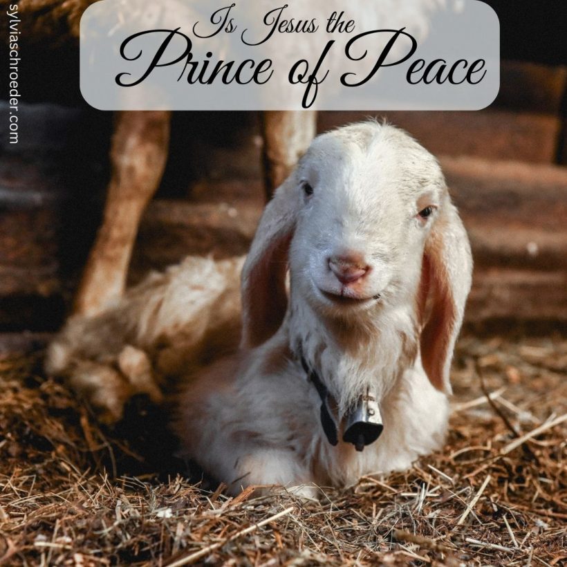 Is Jesus the Prince of Peace? - When the House is QuietWhen the House ...